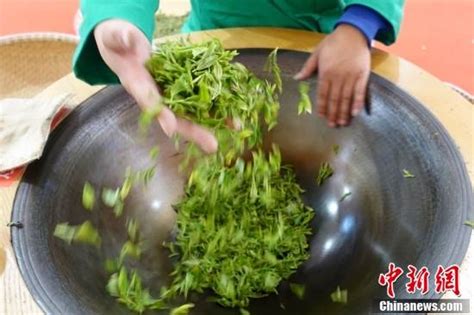 杭州西湖龙井茶炒茶王大赛上演巅峰对决 参赛选手 中新社 老中青