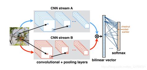 Bilinear Cnn Models For Fine Grained Visual Recognition论文总结 Csdn博客