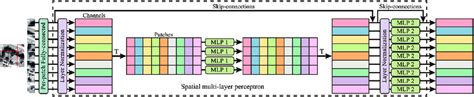 illustration of the spatial multi layer perceptron download