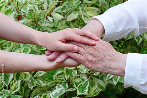 Alte Und Junge H Nde Stock Foto Adobe Stock