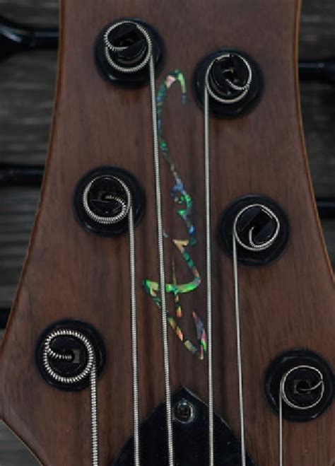 Nbd Aio All In One 6 String Fretless