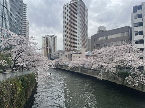 品川区 品川区 Added A New Photo