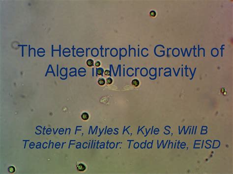 The Heterotrophic Growth Of Algae In Microgravity Steven
