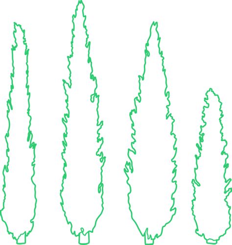 Plants Cypress Tree Outline Svg Vector