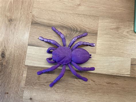 Purple Tarantula Spider