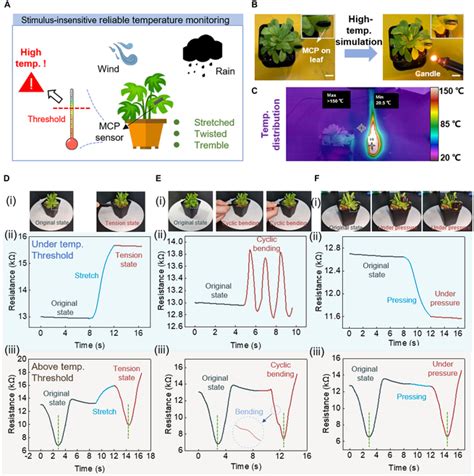 Bioinspired Stretchable Mxene Deformation Insensitive Hydrogel Temperature Sensors For Plant And