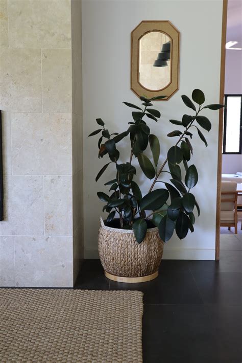 Seagrass Rugs Home And Clan