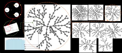 The Cortical Coding Network For Multiple Frequency Bands A Detailed Download Scientific