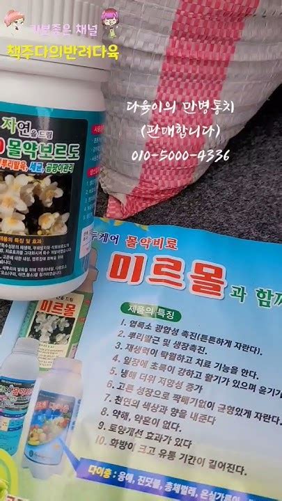 다육이키우기 다육이영양제토동이다육 Youtube