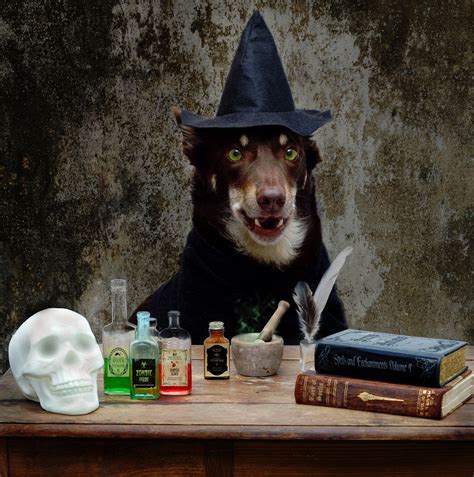 Witchs Brew Jigsaw Puzzle