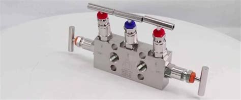 Stainless Steel 310 Manifold Valves Vintex Steel