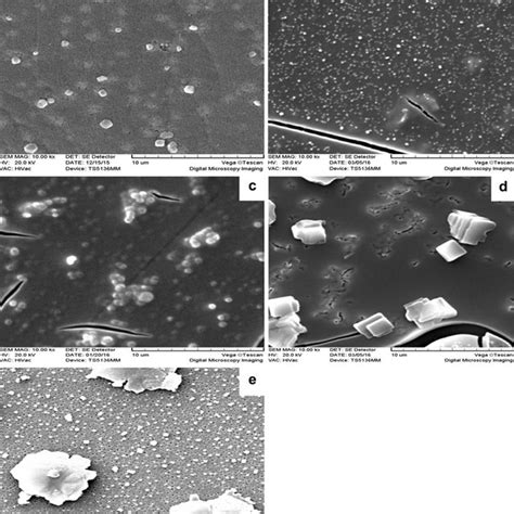 Saed Patterns Of Pure Tio2 A And 5 Si 20 Sr Co Doped Tio B Download Scientific Diagram