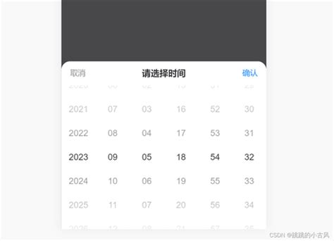 vue vant 日期时间选择年月日时分秒 知乎