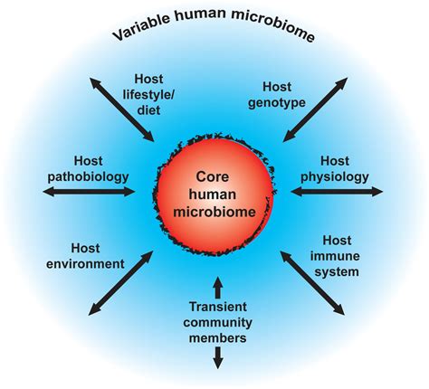 The Human Microbiome Project Exploring The Microbial Part Of Ourselves