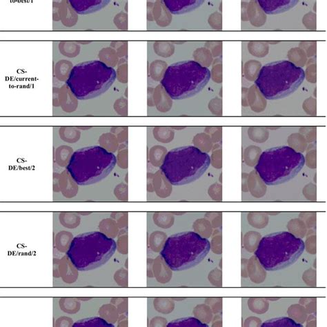 segmented outputs for fig 1a using the seven methods with 3 different