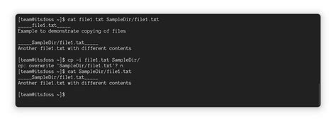 using cp command in linux