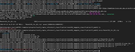 【cann训练营】【2022第二季】【新手班】基于resnet 101网络实现图片分类的实验复现 云社区 华为云