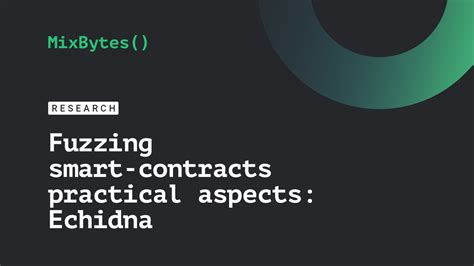Fuzzing Smart Contracts Practical Aspects Echidna