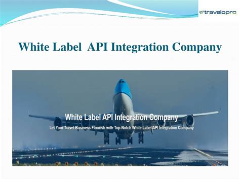 ppt white label api integration company powerpoint presentation free
