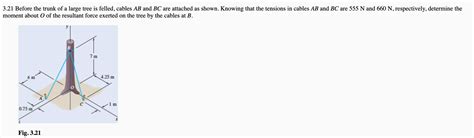 Solved Before The Trunk Of A Large Tree Is Felled Chegg Com