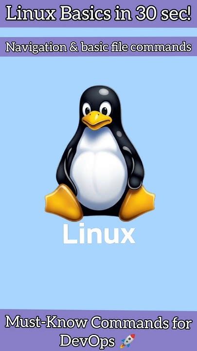 Start Your Linux Like A Pro With These Commands 💻🔥 Shorts Linuxshell