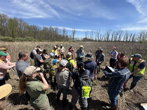 Hydric Soils Training Success Stream Wetlands