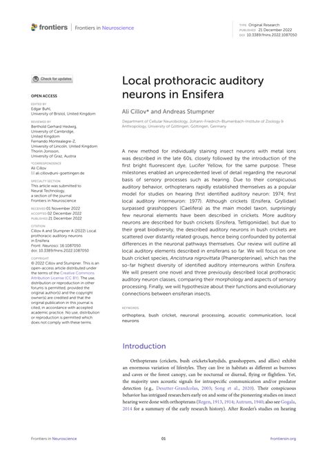 Pdf Local Prothoracic Auditory Neurons In Ensifera