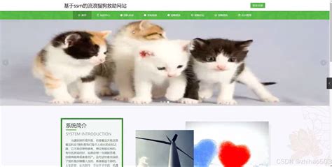 基于pythonflask框架的流浪猫狗救助网站（开题程序论文） 计算机毕设 Csdn博客