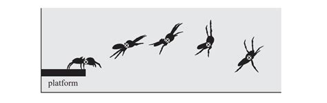 Motion Edexcel A Level Physics Exam Questions Answers