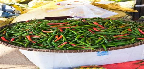 ကန့်ဘလူမြို့မဈေးကွက်အတွင်းမှ ငရုတ်သီးစိမ်း ဈေးနှုန်း အခြေအနေ Consumer