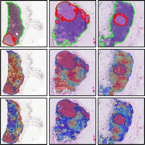 Figure 4 From Task Specific Fine Tuning Via Variational Information