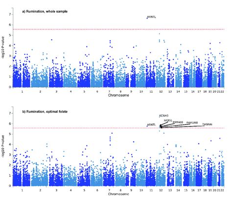 Manhattan Plots Of Gene Based Tests For Rumination Item In The Whole