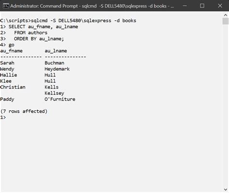Sql Database Programming