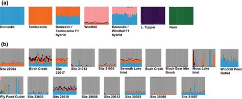 Structure Bar Plots For Stocked Strains A And All Wild Sampled