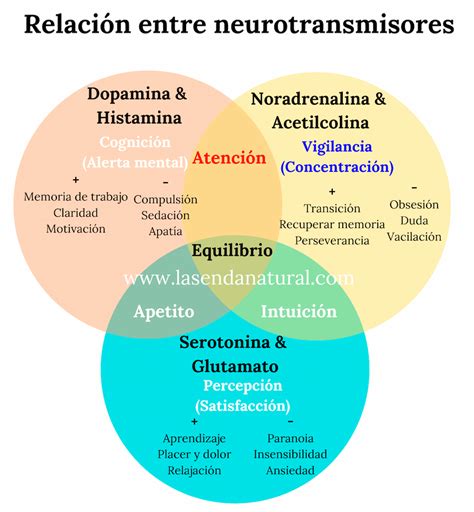 Los Neurotransmisores