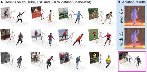 Appearance Consensus Driven Self Supervised Human Mesh Recovery Deepai
