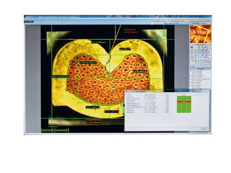 Analysis Software X Scan