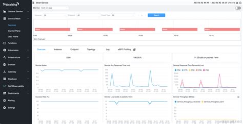 分布式监控skywalking安装及使用教程（保姆级教程）skywalking使用教程 Csdn博客
