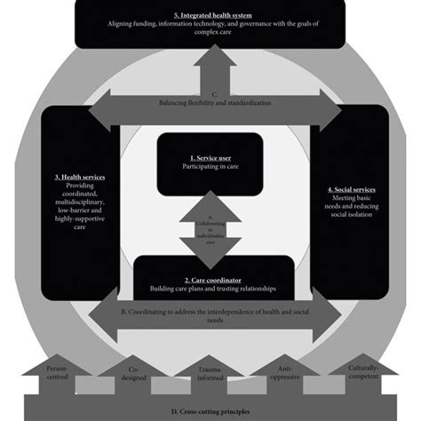 A Multilevel Framework For Complex Care Download Scientific Diagram