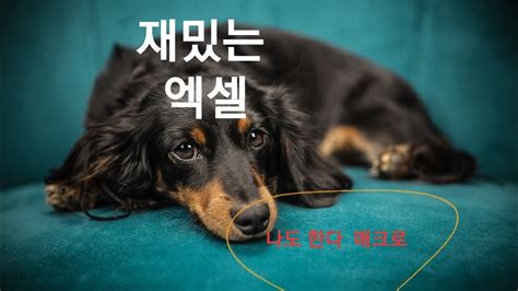 4재밌는 엑셀 매크로 Vba 상대주소 절대주소 Youtube