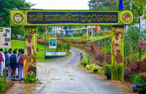කෘෂි තාක්ෂණික ප්‍රදර්ශණය Uva Media Uva Provincial Council