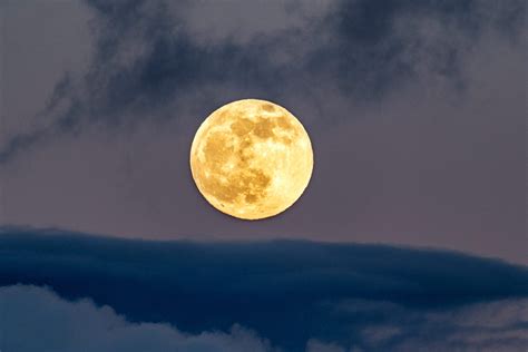 Luna De Gusano Todo Lo Que Debes Saber
