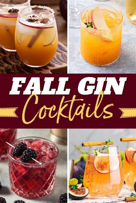 15 Best Fall Gin Cocktails For The Holidays Insanely Good