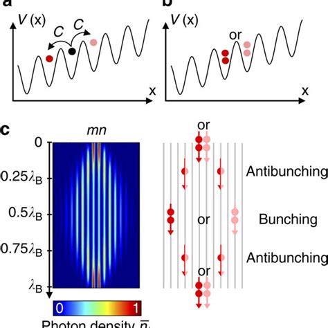 Experimental Realization Of Bloch Oscillations Of Two Photon N00n Download Scientific Diagram