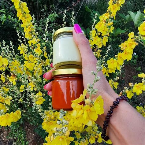 Кanina Лосион за тяло Зелен чай и смокиня Уют топлина приказна белота Думи които ни