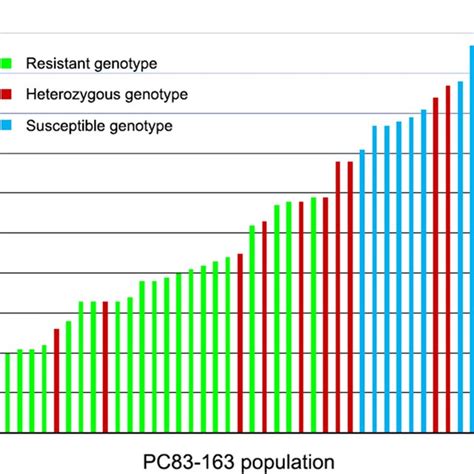 Distribution Of Stem Lesion Length And Kasp Marker Genotypes Of The Download Scientific Diagram