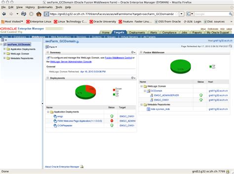 Oracle Grid Control 11g Release 1 111010 First Screenshots