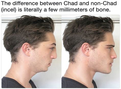 Incel Culture How A Neo Masculinity Challenges Traditional Notions Of