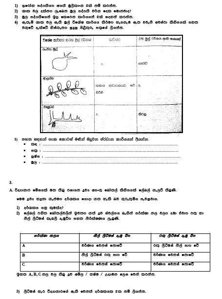Ruwanwella Royal College Lessons Gallery 7 වසර විද්‍යාව