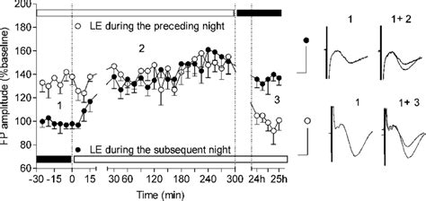 2 Light Dependent Modulation Of Basal Synaptic Transmission In The
